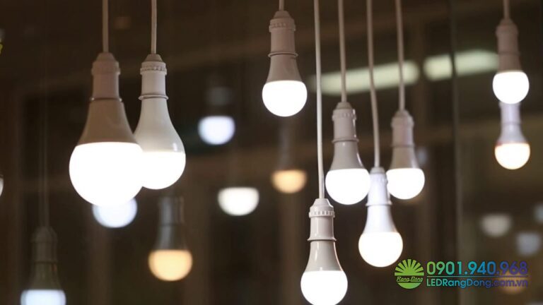 Bóng đèn LED Bulb Rạng Đông: Giải pháp chiếu sáng hiệu quả và tiết kiệm ...